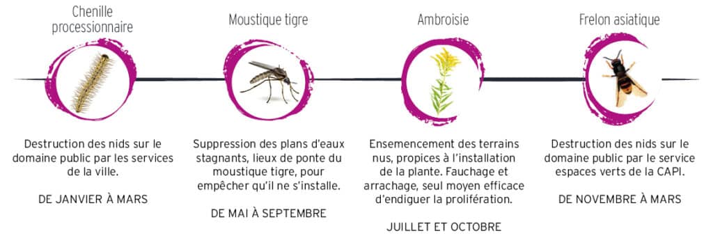 Lutte contre les nuisibles & invasifs - Villefontaine
